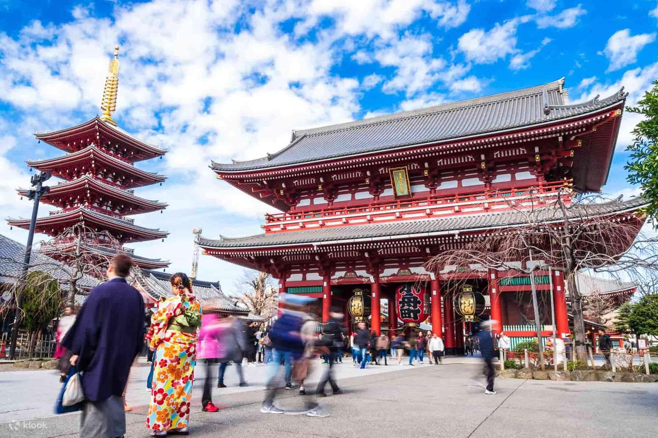 [Excursión Clásica de un Día en Tokio] Santuario Meiji Jingu + Harajuku ...